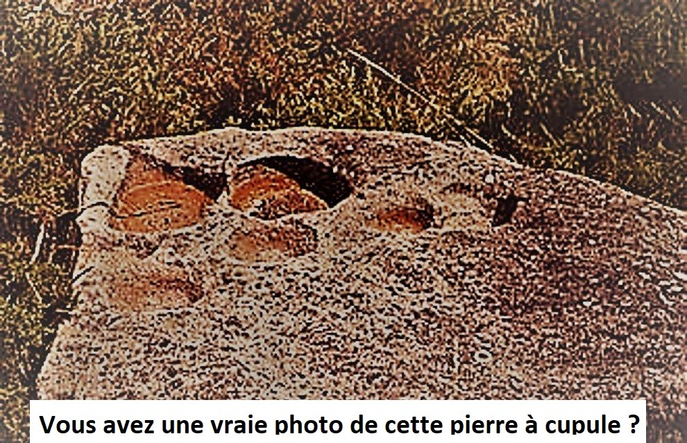 Blocs cupulaires de La Roche à Billième | Musée du Patrimoine de France